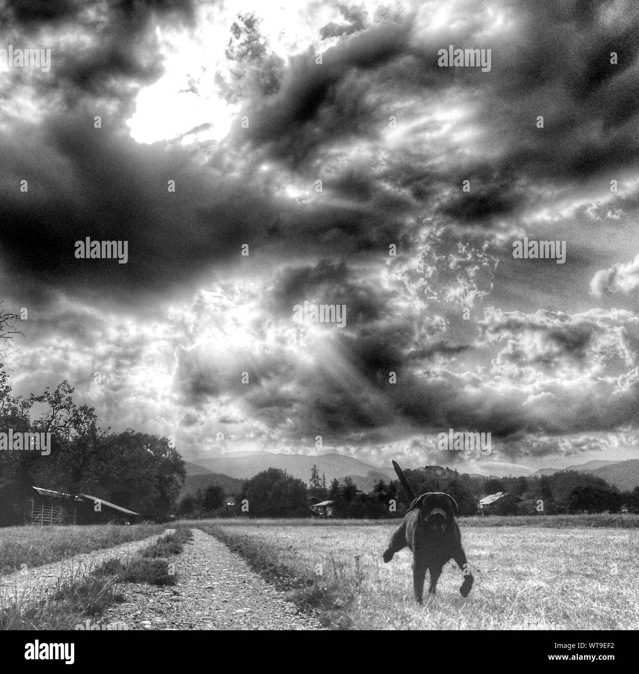 Supercell storm hi-res stock photography and images - Alamy