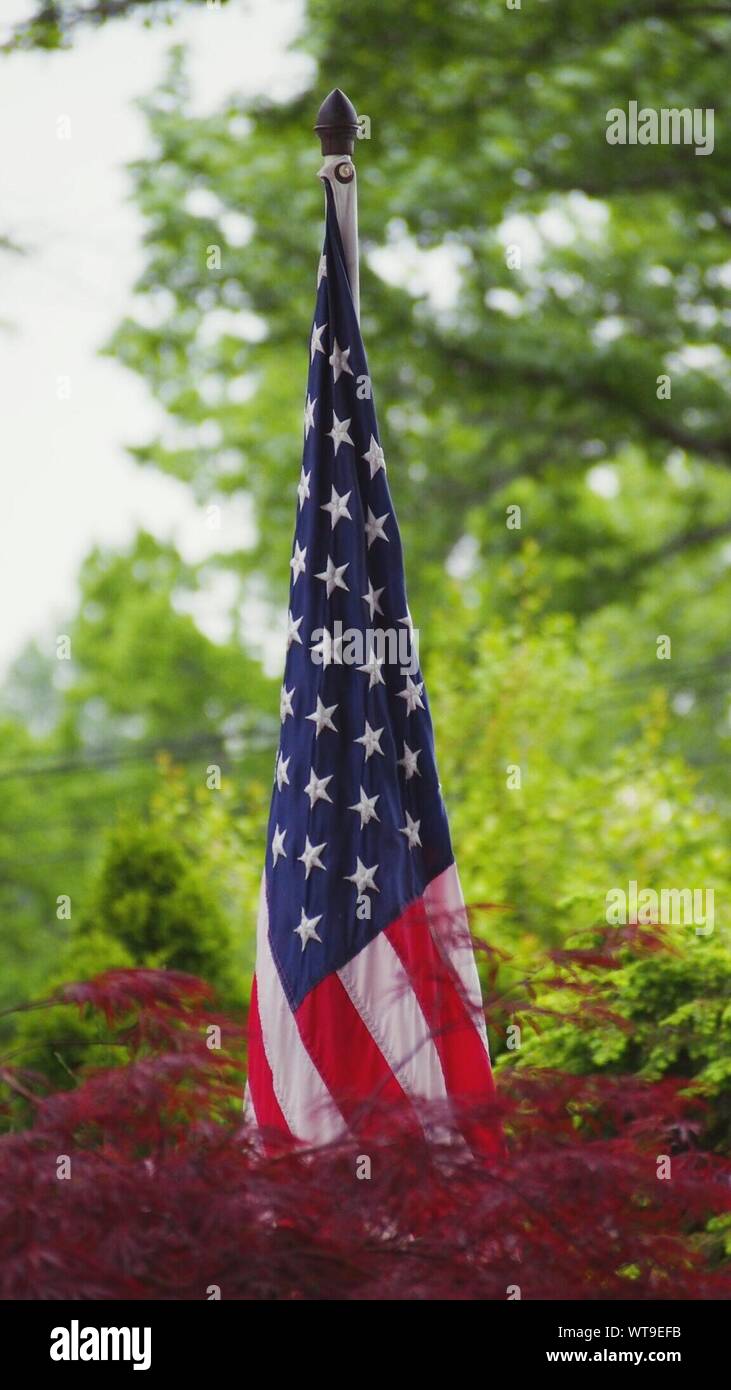 Flag trees hi-res stock photography and images - Alamy