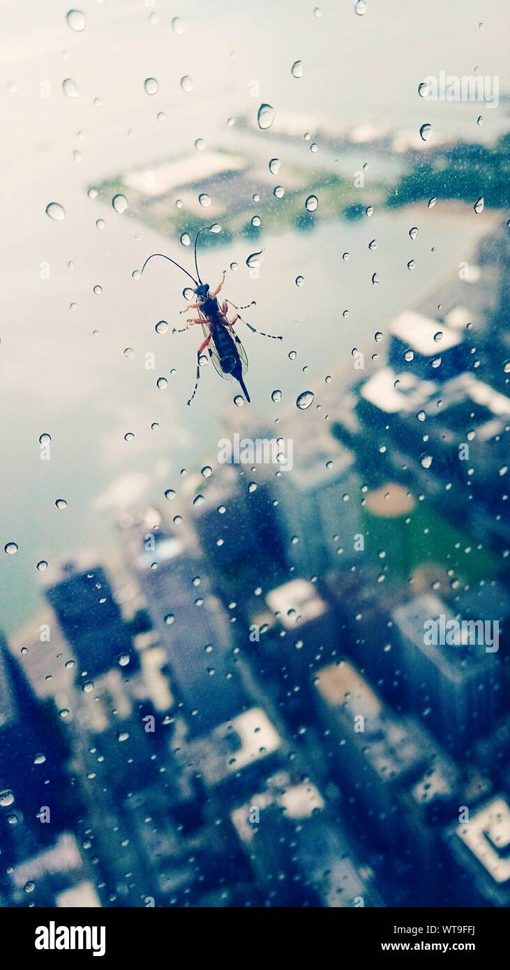 Wet window shore hi-res stock photography and images - Alamy