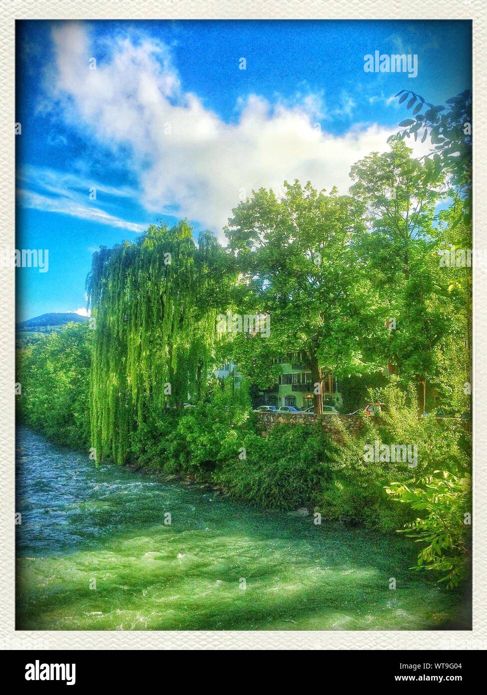 Riverside with trees hi-res stock photography and images - Alamy