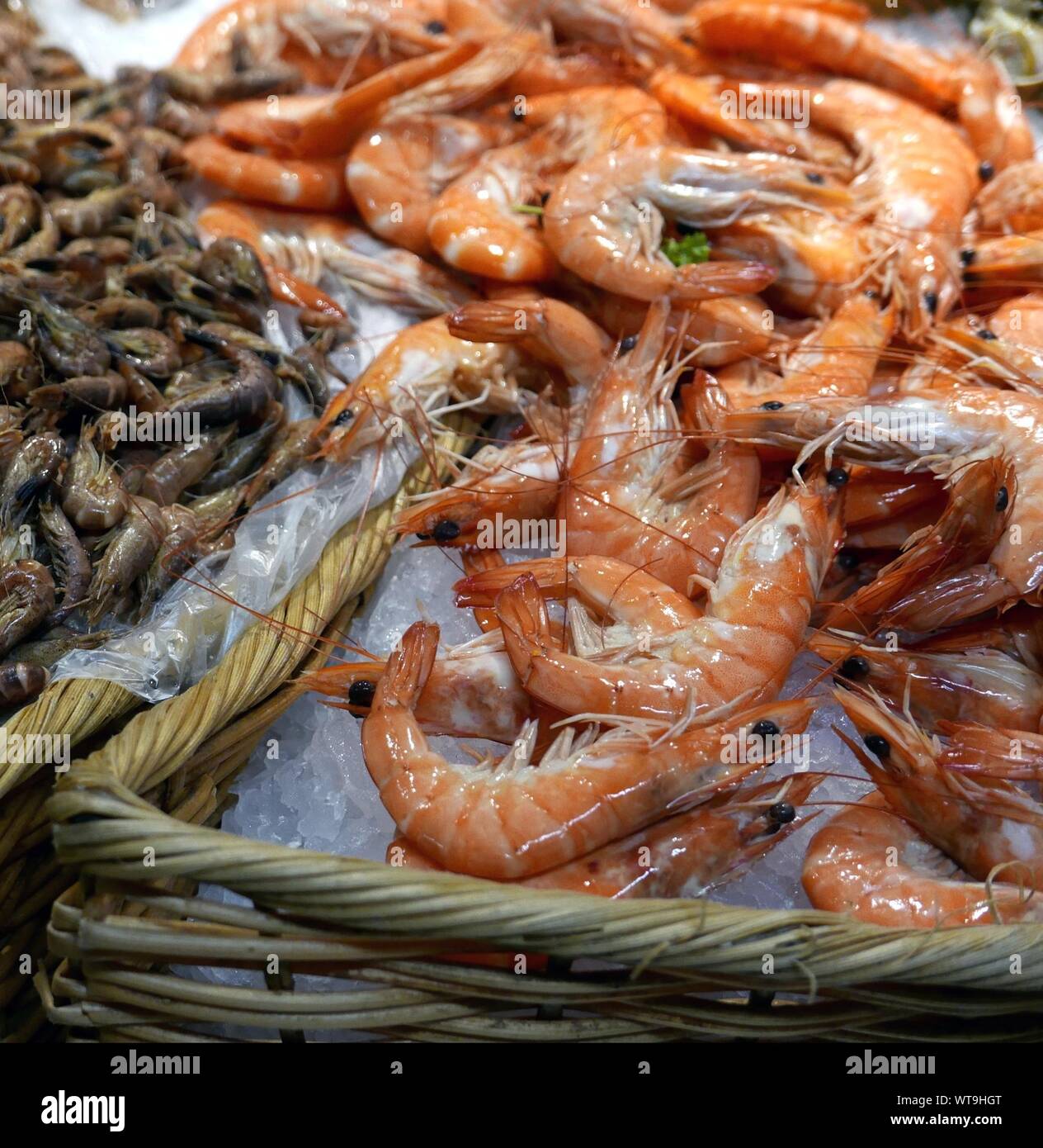 Shrimp baskets hi-res stock photography and images - Alamy