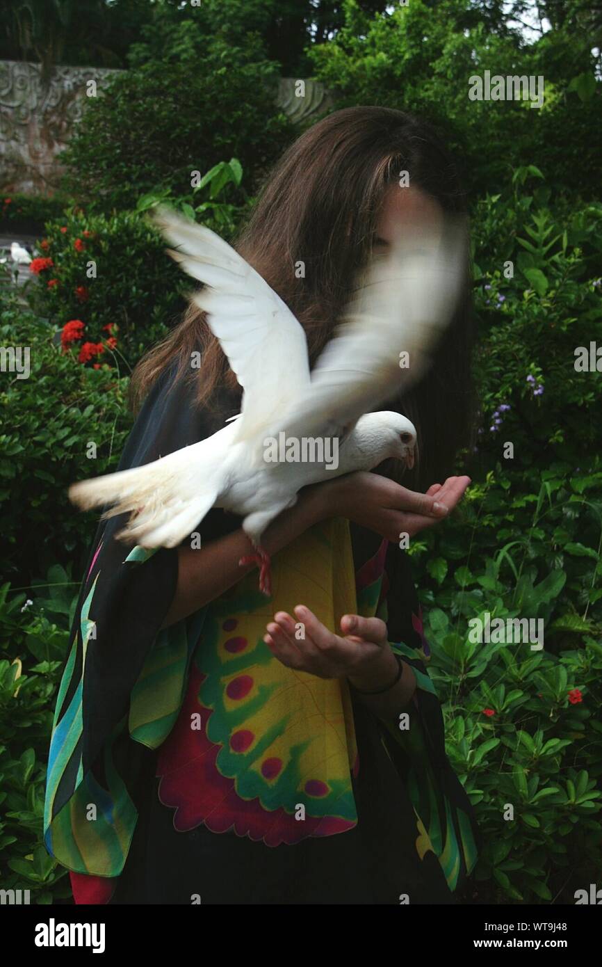 Woman and bird hi-res stock photography and images - Alamy