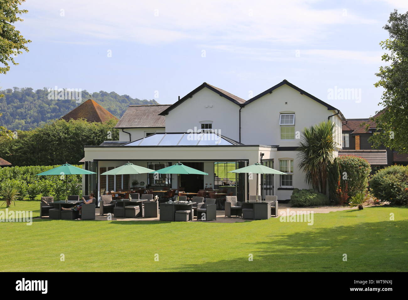 Denbies wine estate dorking hi-res stock photography and images - Alamy