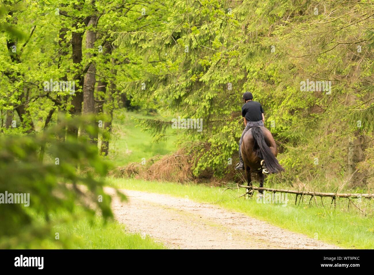 Rear view man horse sitting hi-res stock photography and images - Alamy