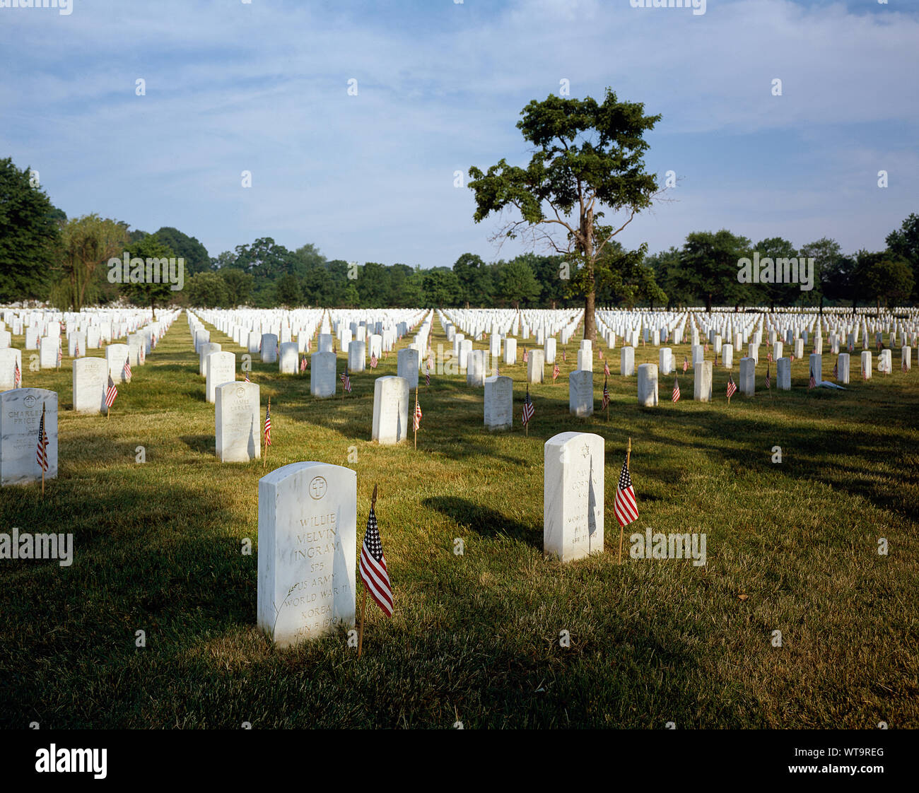Veterans day observance arlington hi-res stock photography and images ...