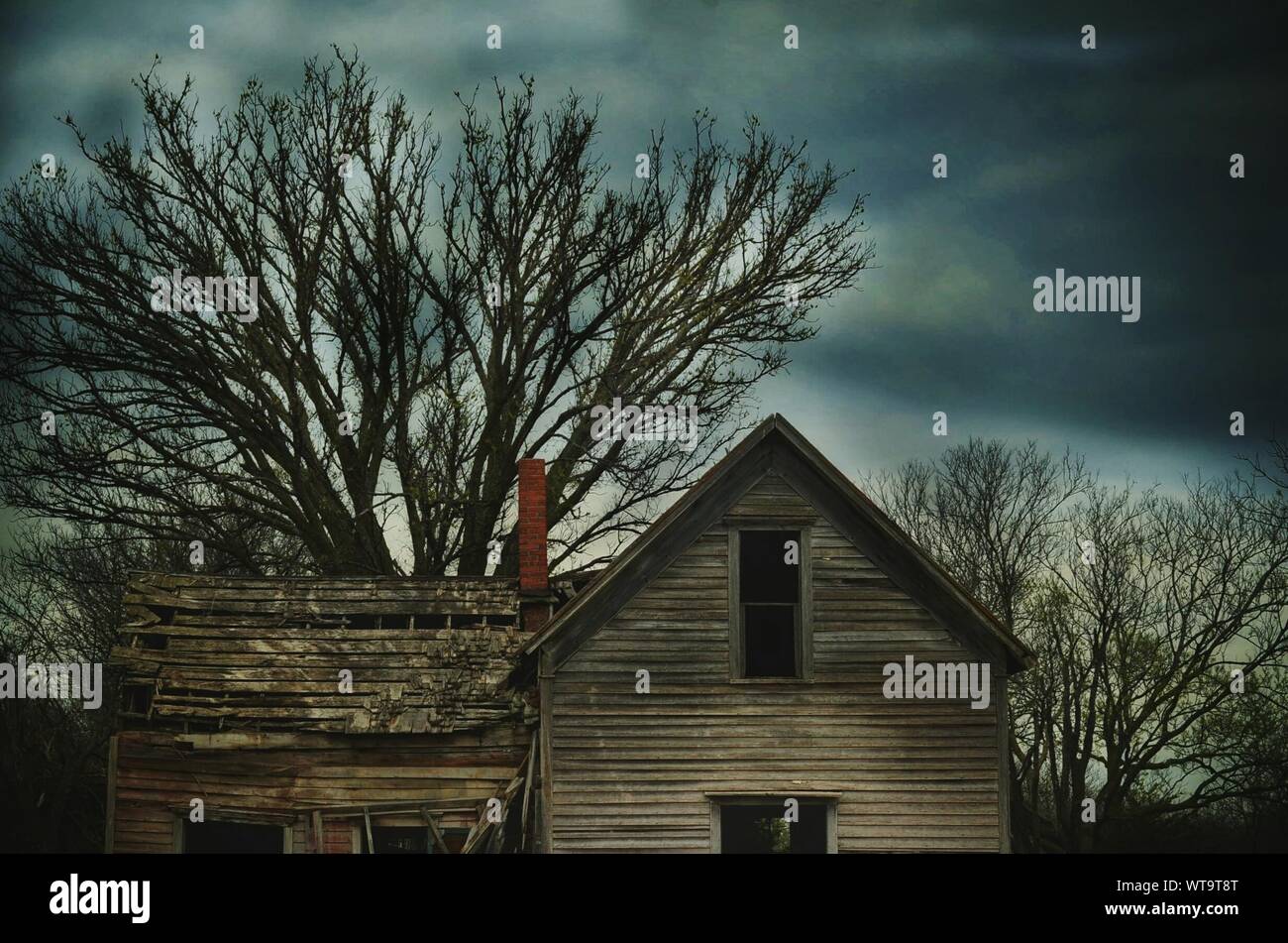 House damaged by tree hi-res stock photography and images - Alamy