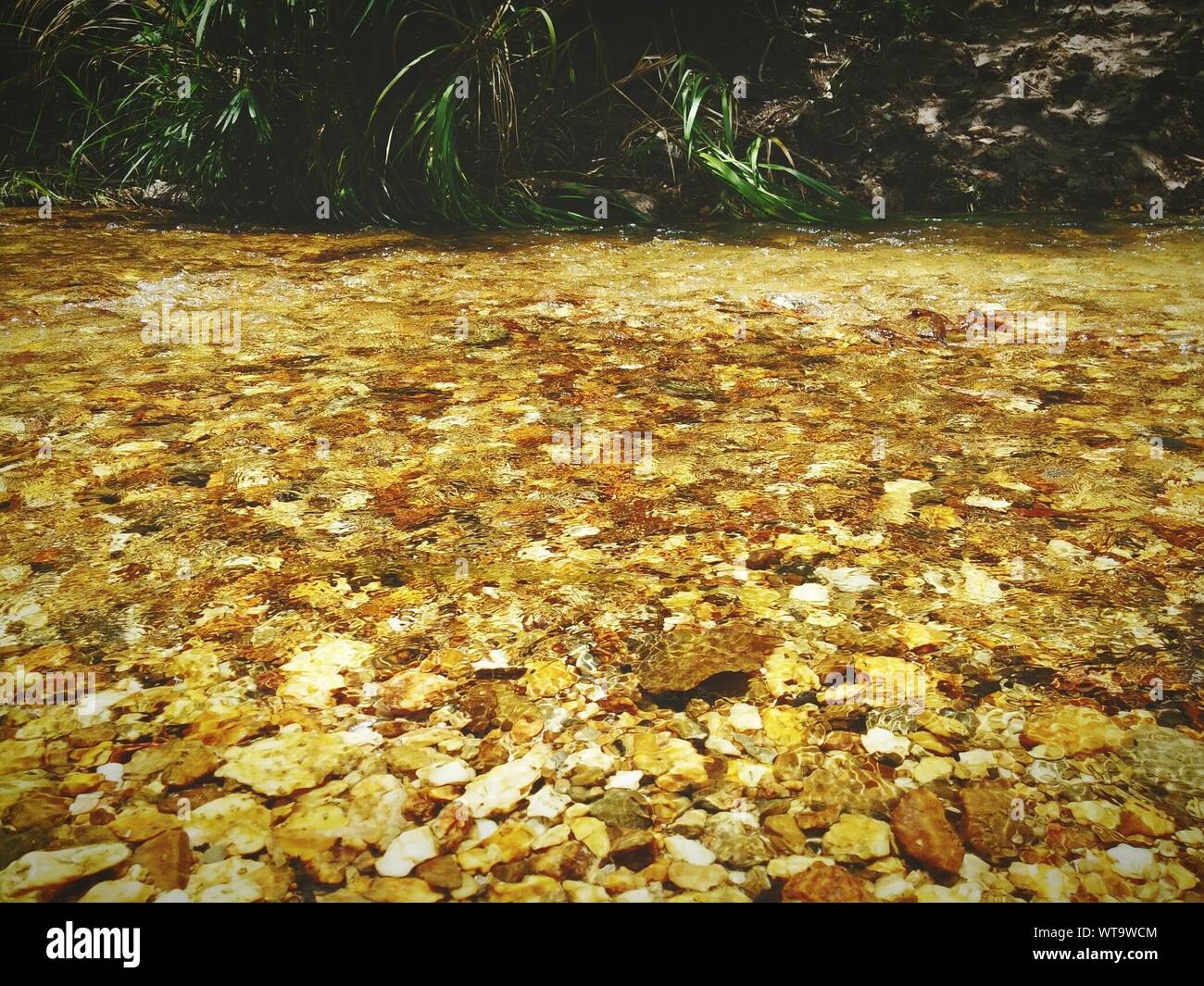 Water magnification hi-res stock photography and images - Alamy