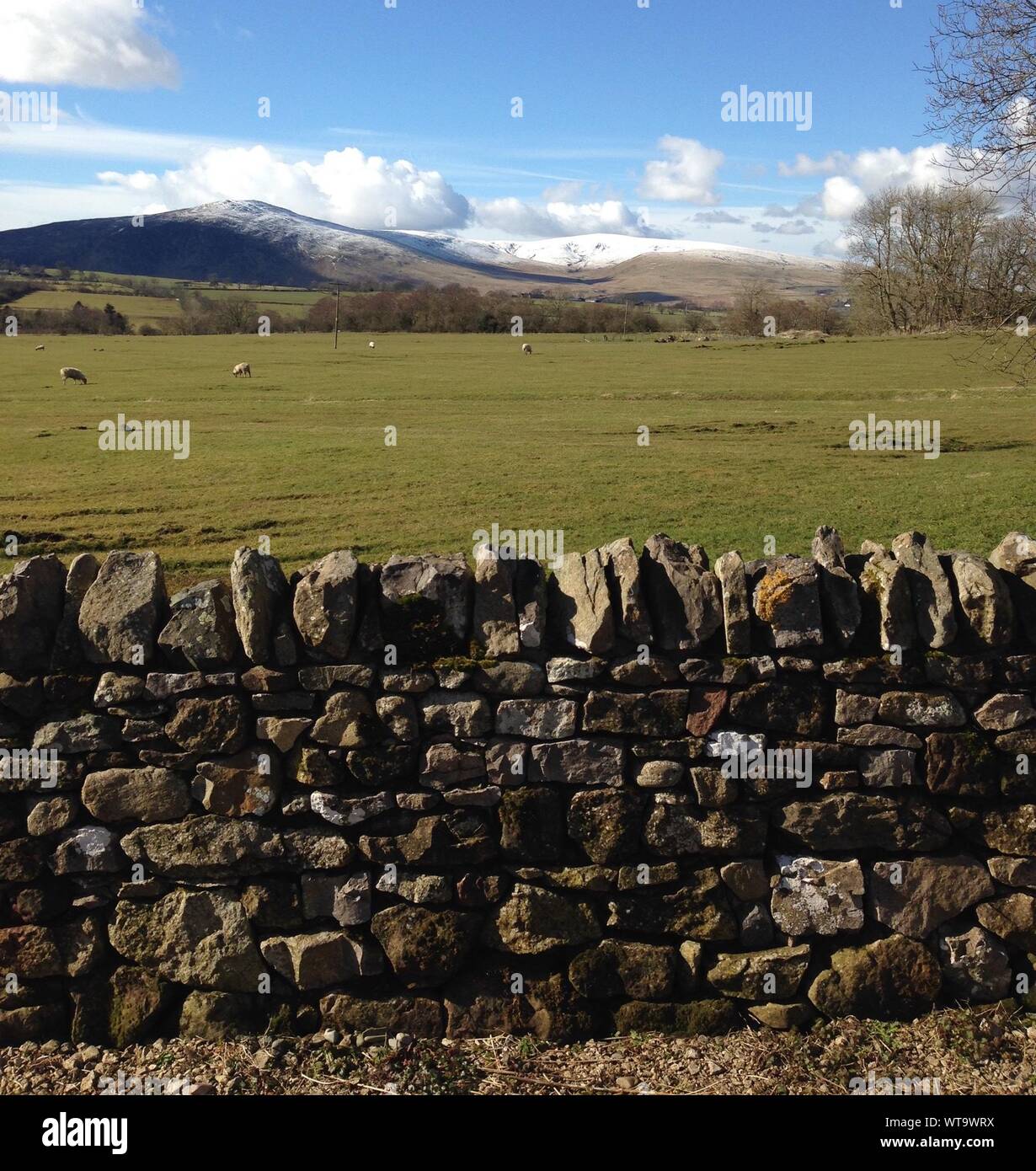 Hutton Roof Crags High Resolution Stock Photography and Images - Alamy