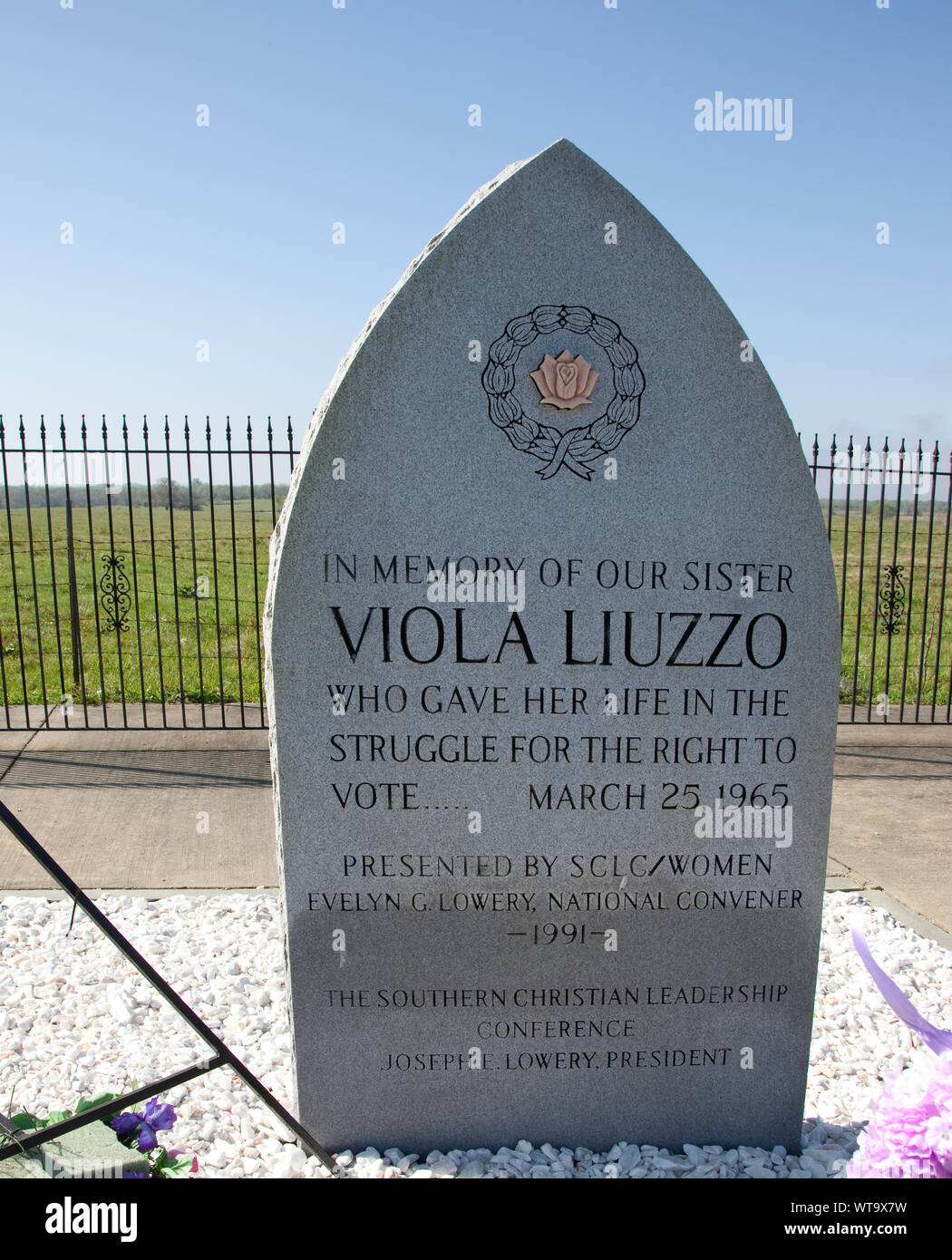 Viola liuzzo hi-res stock photography and images - Alamy