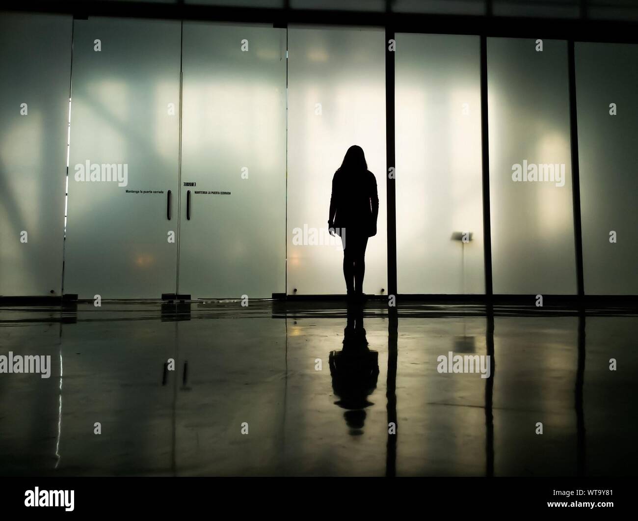 Woman silhouette with shadow hi-res stock photography and images - Alamy