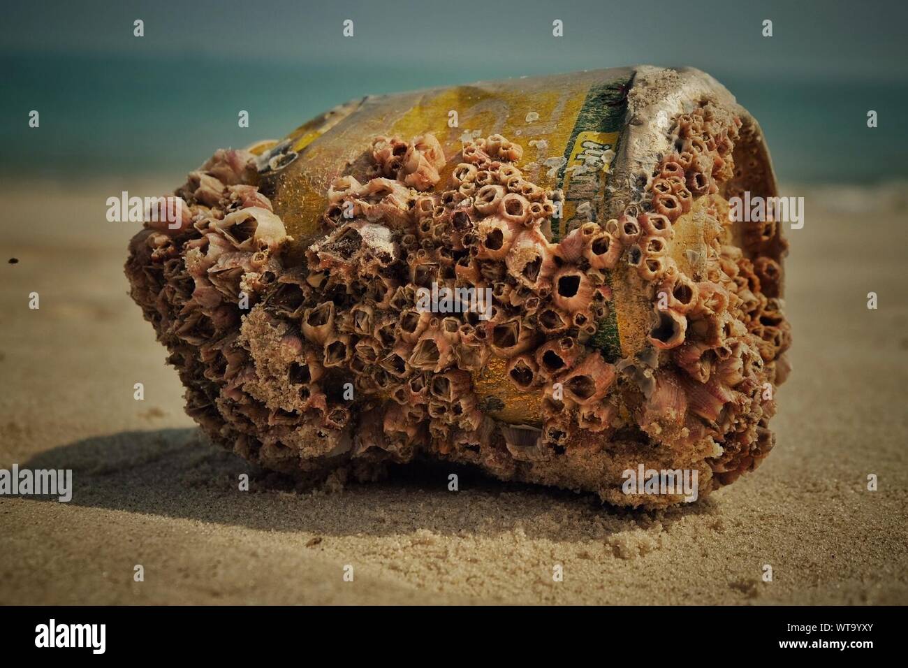 Waste container hi-res stock photography and images - Alamy