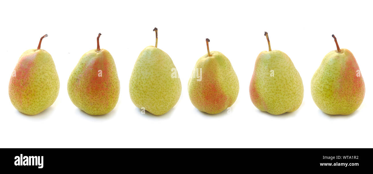Pears In A Row Isolated On White Stock Photo - Alamy