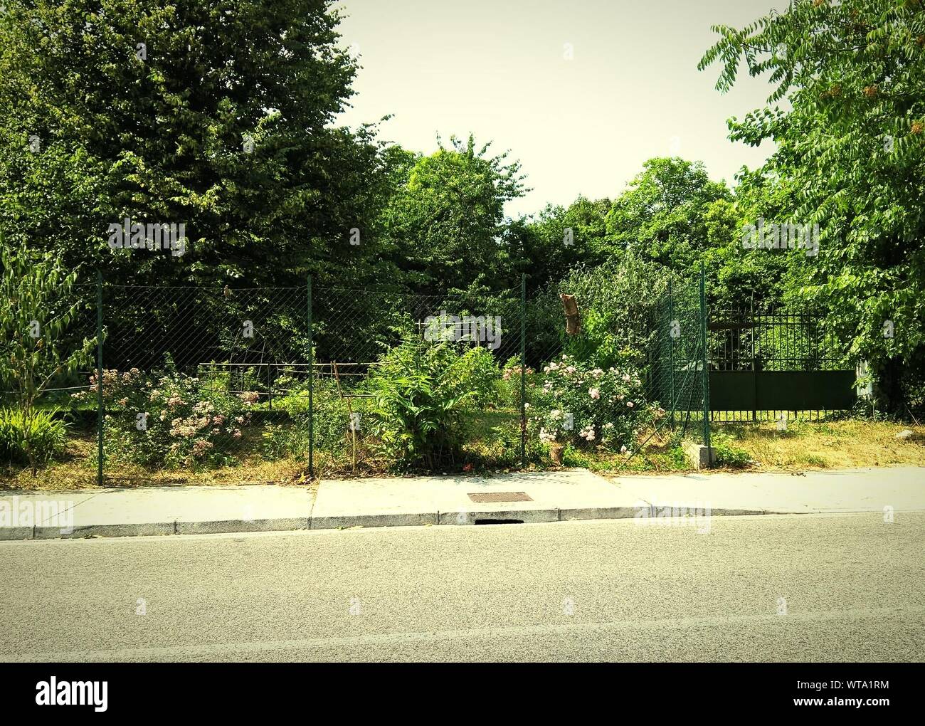 Roadside Fence High Resolution Stock Photography and Images - Alamy