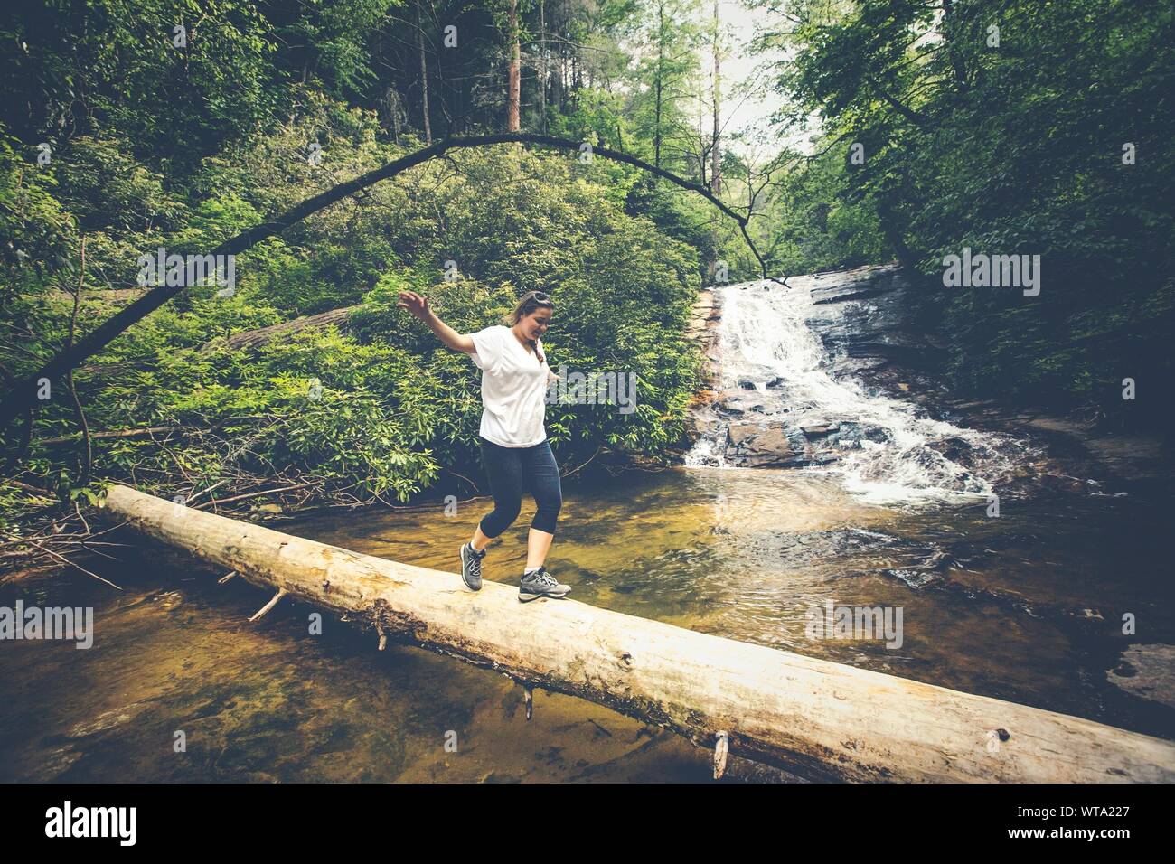 Balancing on log over river hi-res stock photography and images - Alamy