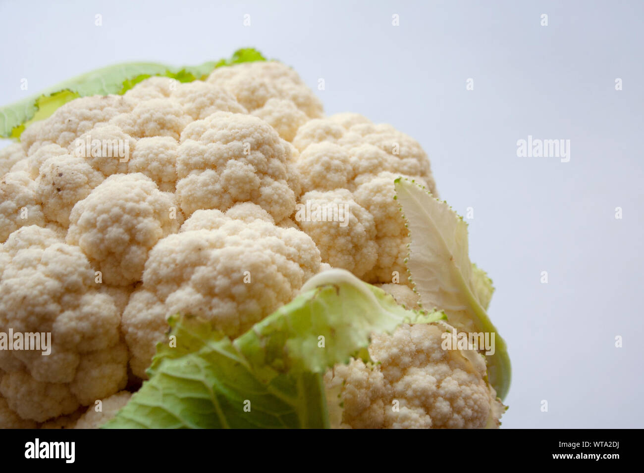 Cauliflower curd and leaves hi-res stock photography and images - Alamy