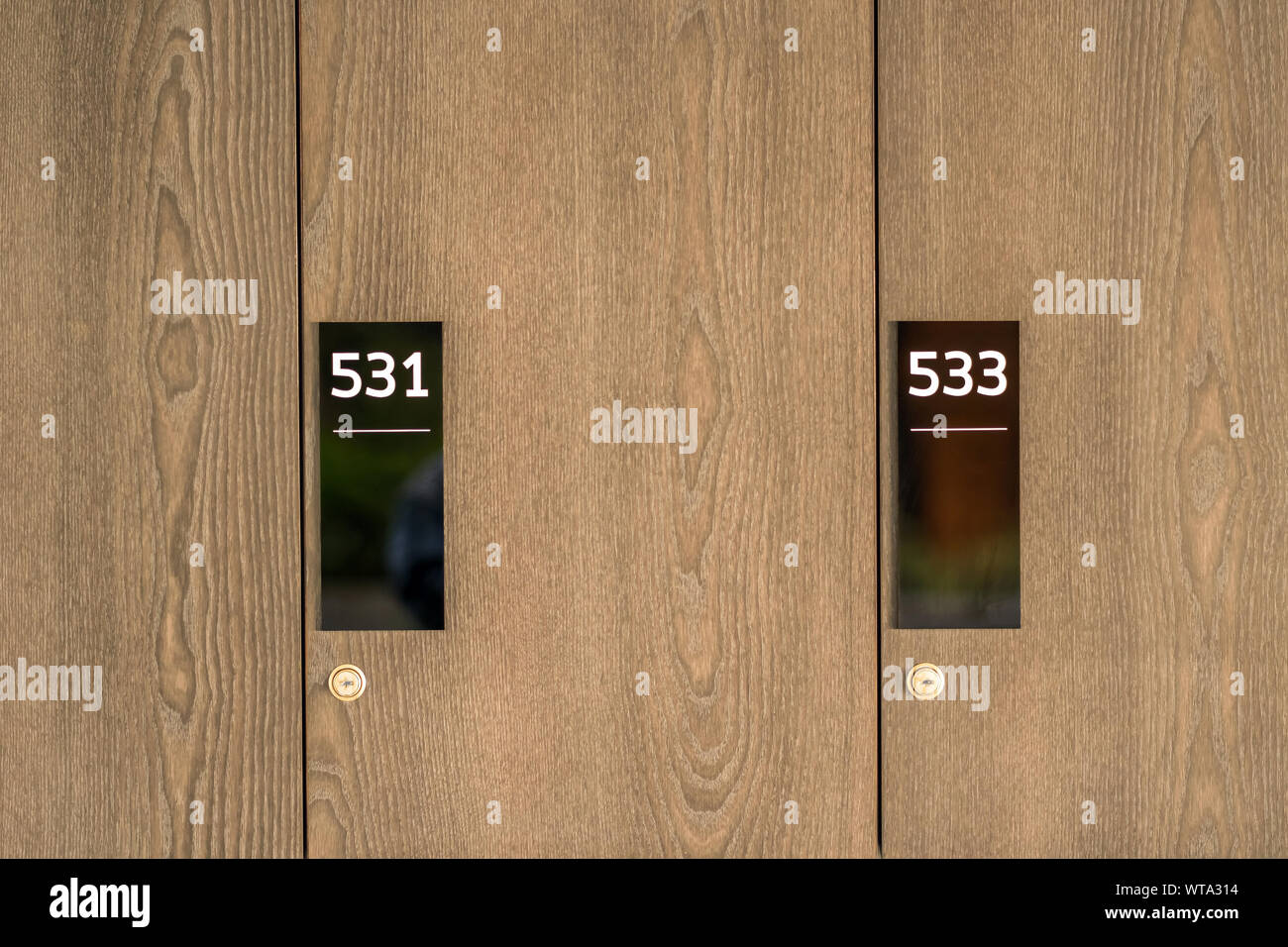 Lockers room for storing musical instruments in music schools Stock ...