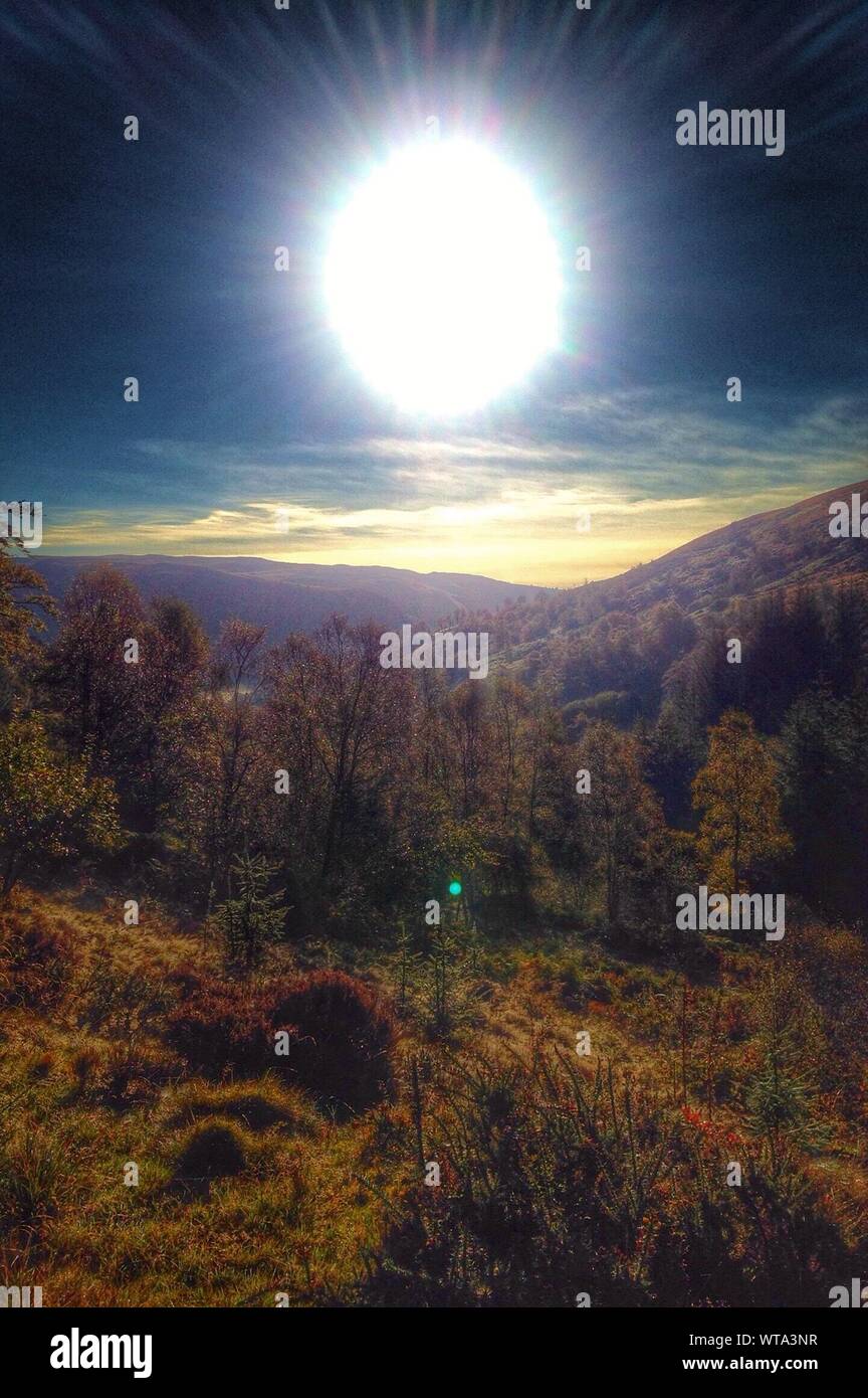 Sun landscape hi-res stock photography and images - Alamy