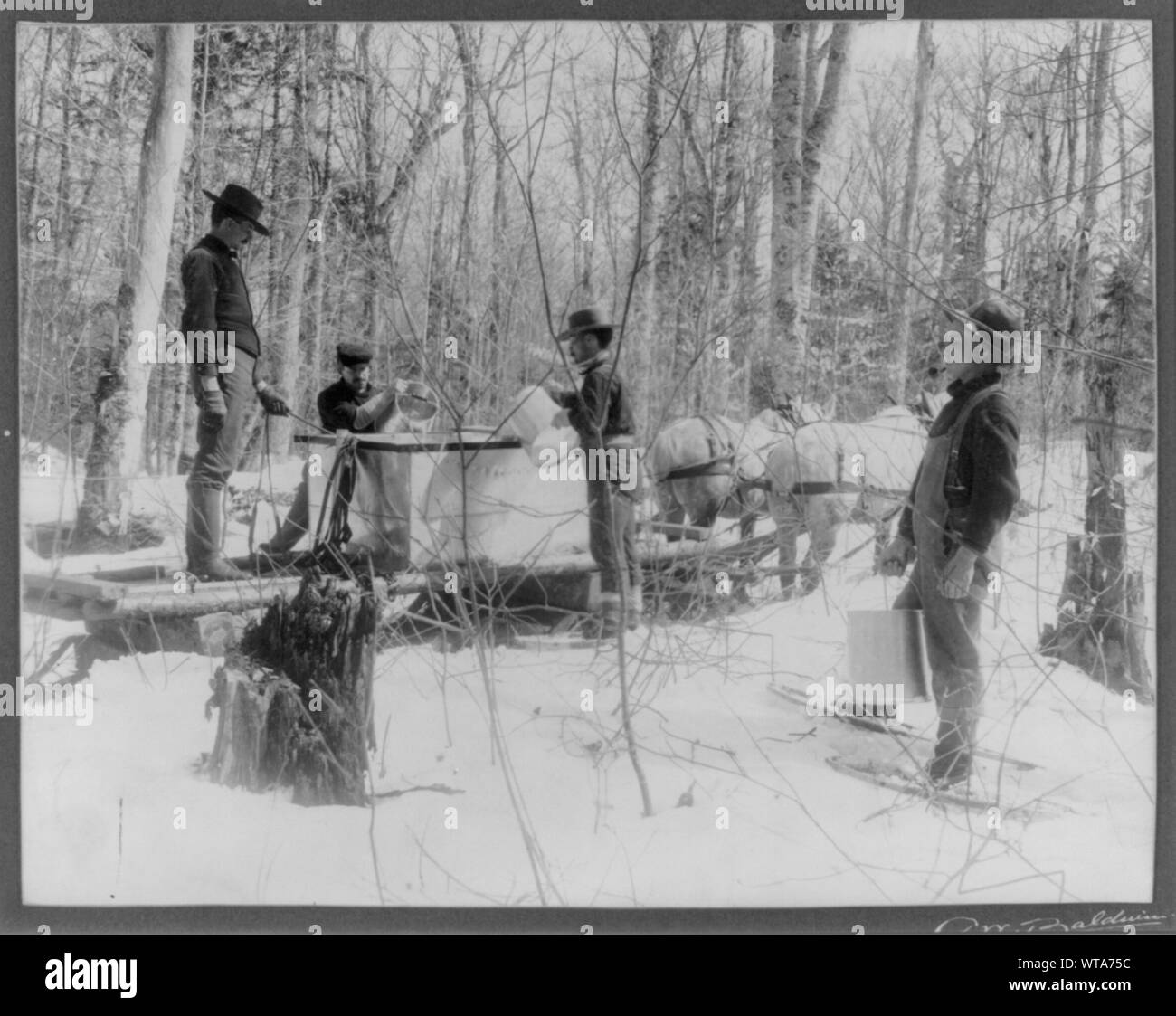 Y sap hi-res stock photography and images - Alamy