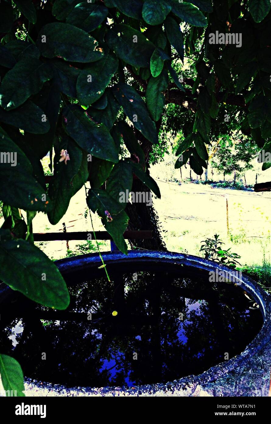 Japanese basin hi-res stock photography and images - Alamy