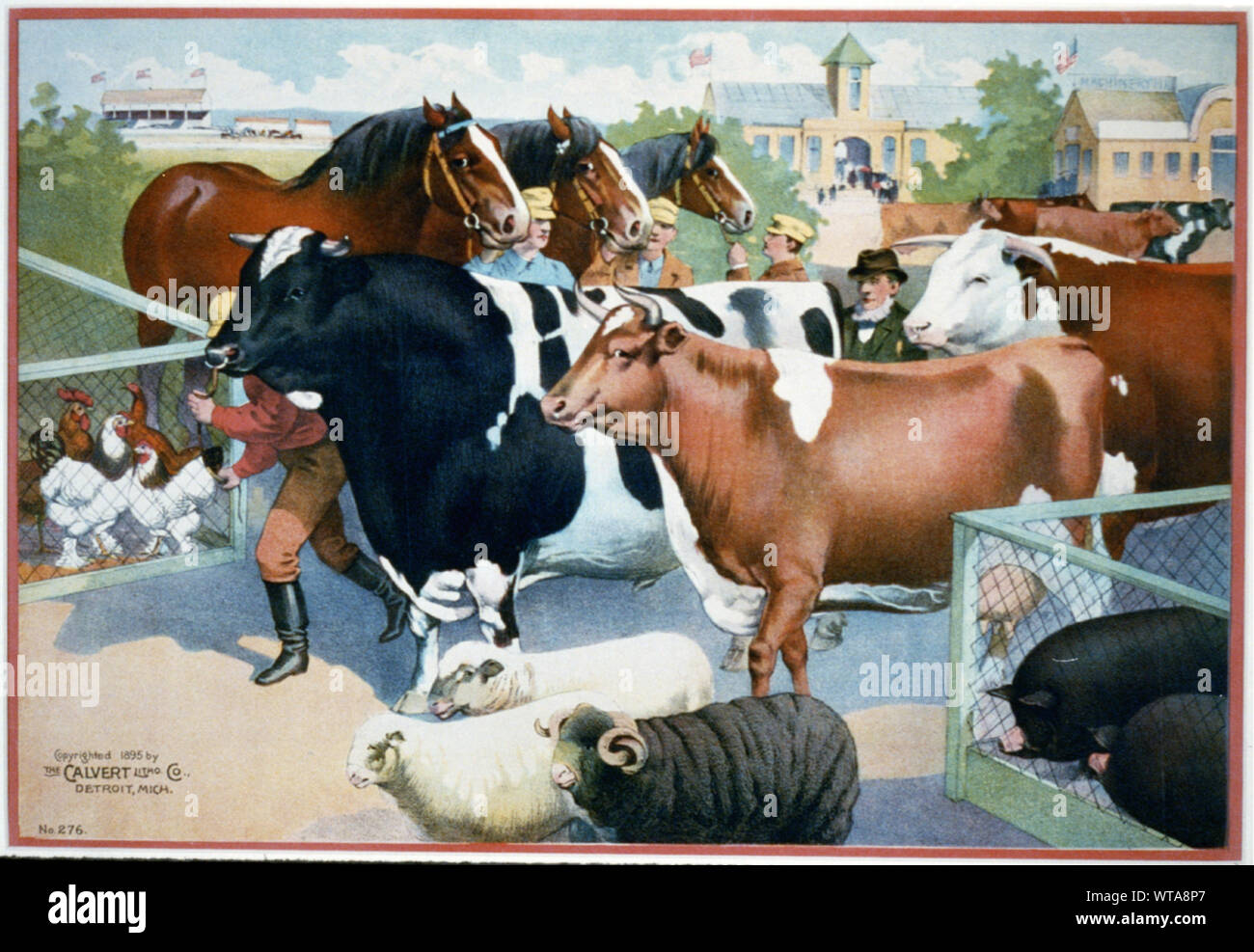 Men with cattle, horses, sheep, pigs and chickens at country fair Stock ...