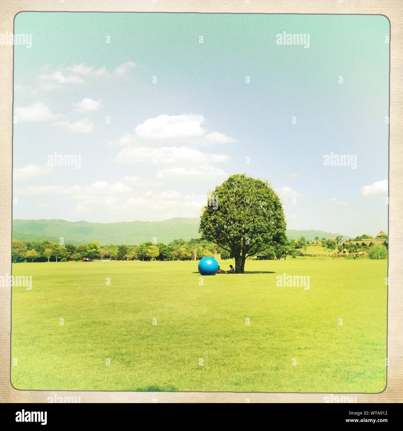 Blue Ball Under Green Tree Stock Photo - Alamy