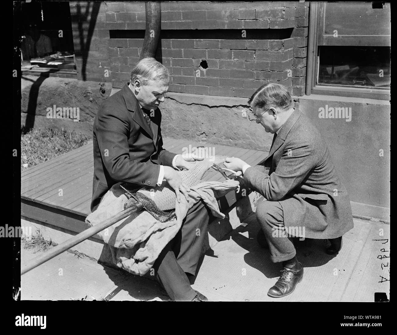 Fresh fish scene Black and White Stock Photos & Images - Alamy