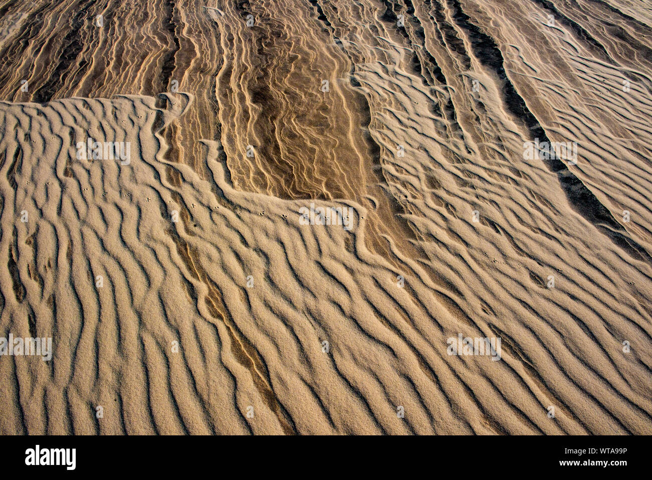 Sand grooves and crystal clear water in the seashore Stock Photo - Alamy