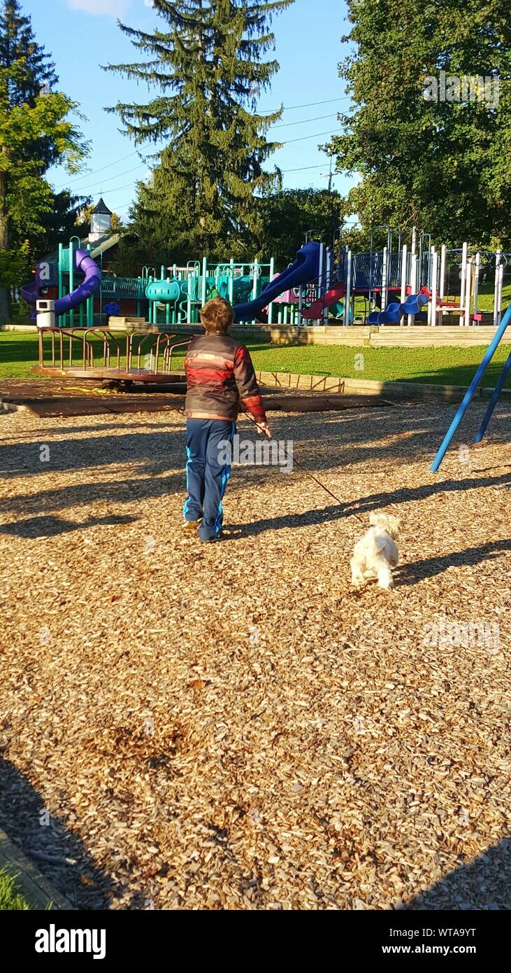 Boy walking his dog hi-res stock photography and images - Alamy