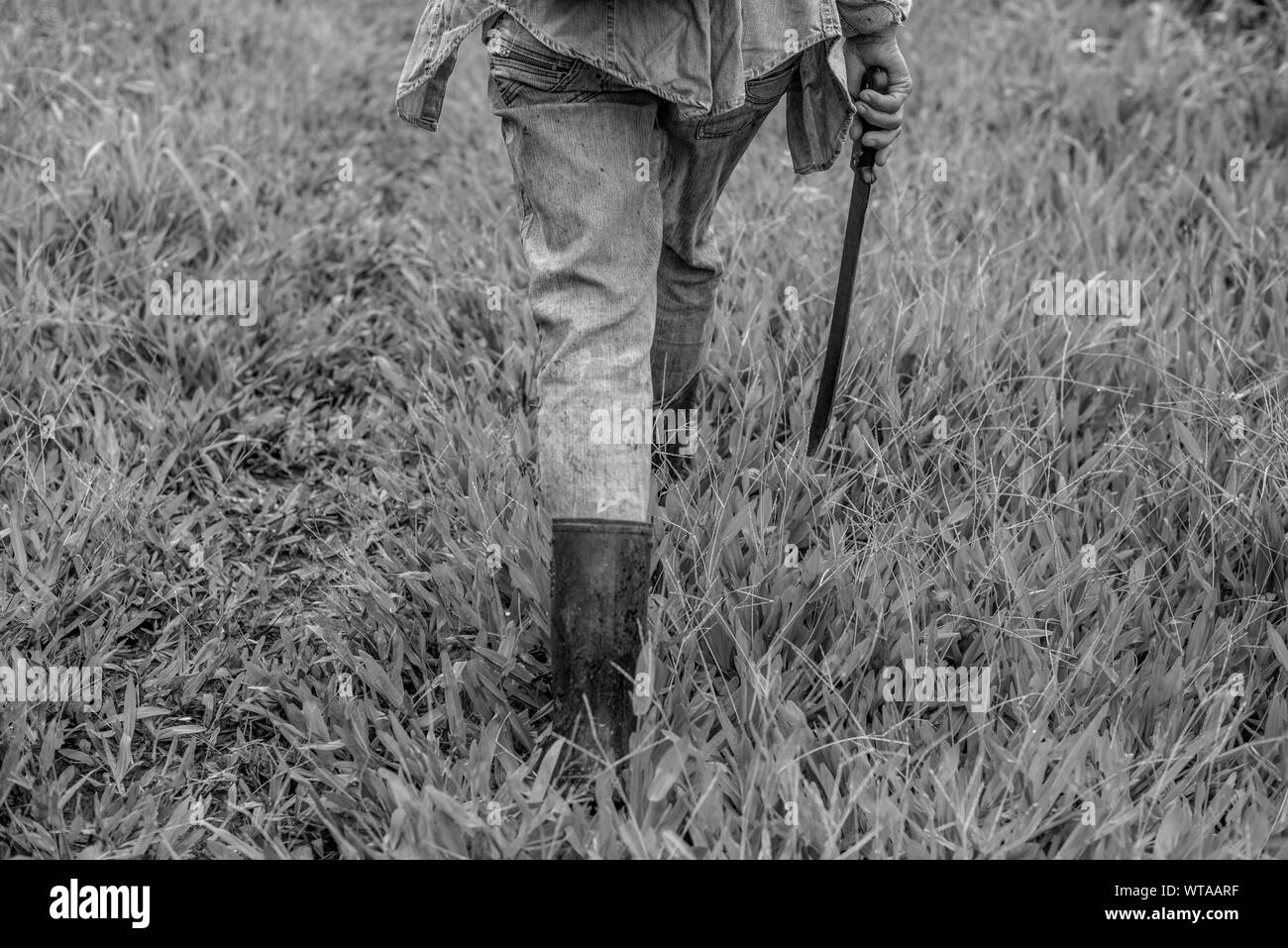 Machete in hand Black and White Stock Photos & Images - Alamy