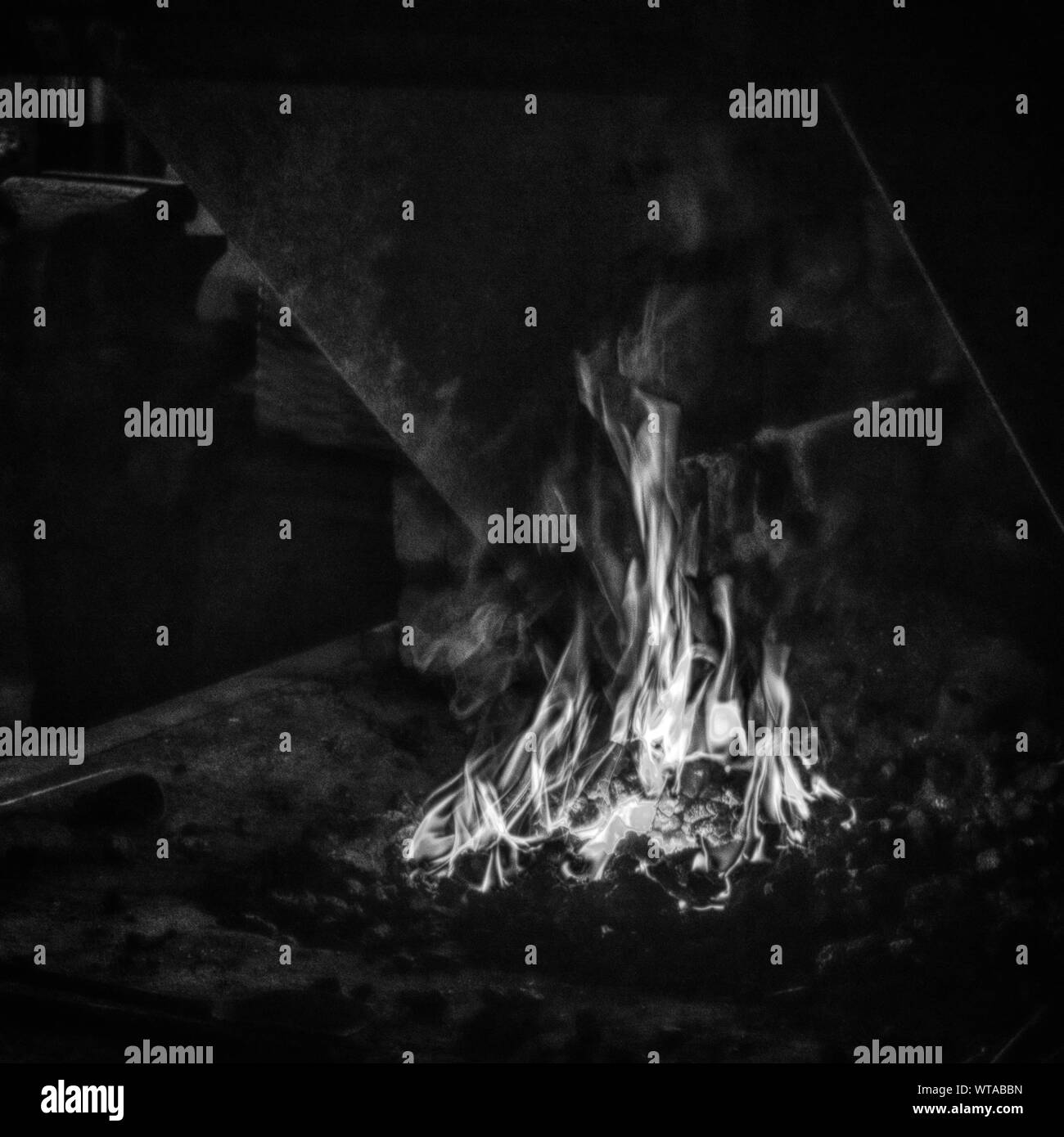 Night forest Black and White Stock Photos & Images - Alamy