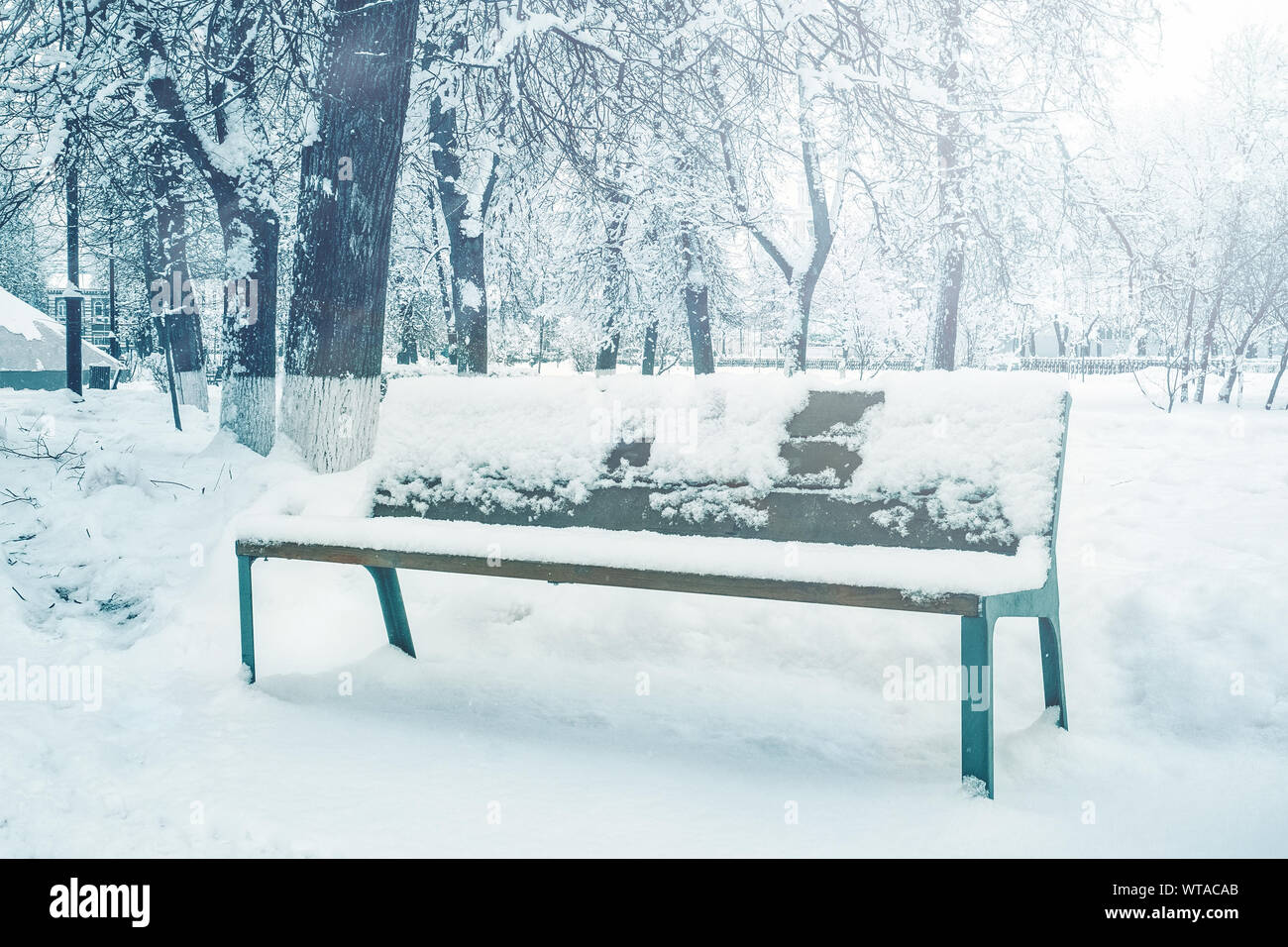 Garden bench in the Park in the winter snowfall. Seasonal phenomenon ...