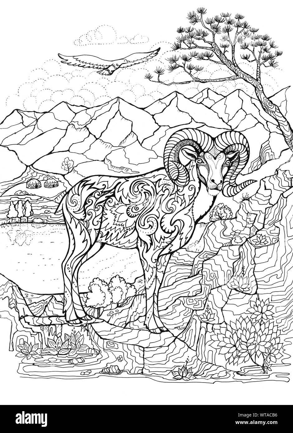 Bighorn Sheep Picture High Resolution Stock Photography and Images - Alamy