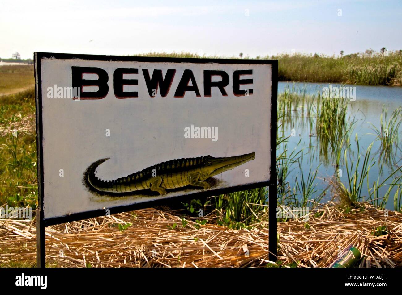 Beware Crocodiles High Resolution Stock Photography and Images - Alamy