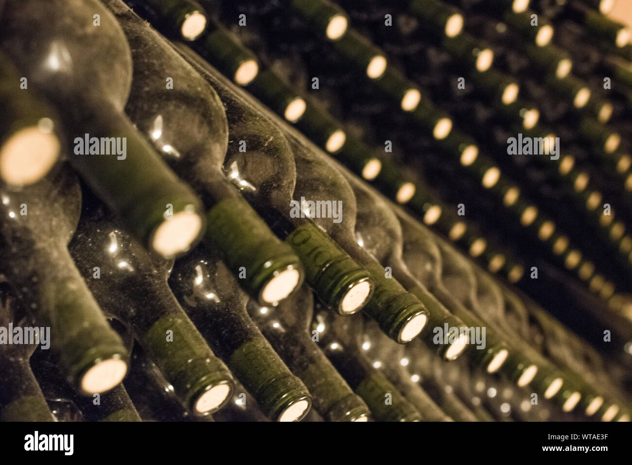 Wine bottles stored in rows Stock Photo - Alamy
