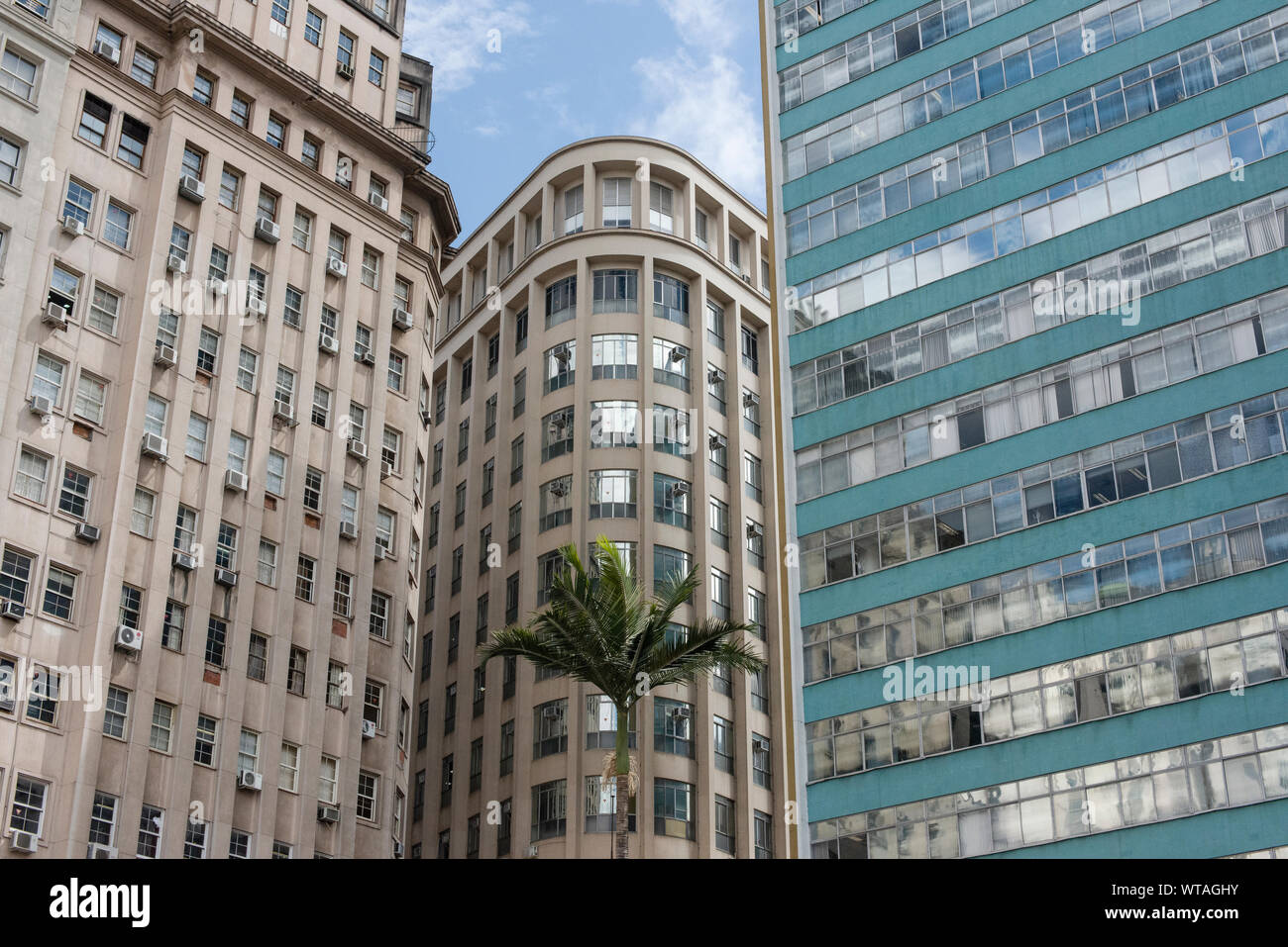 Palm tree between buildings in downtown Stock Photo - Alamy