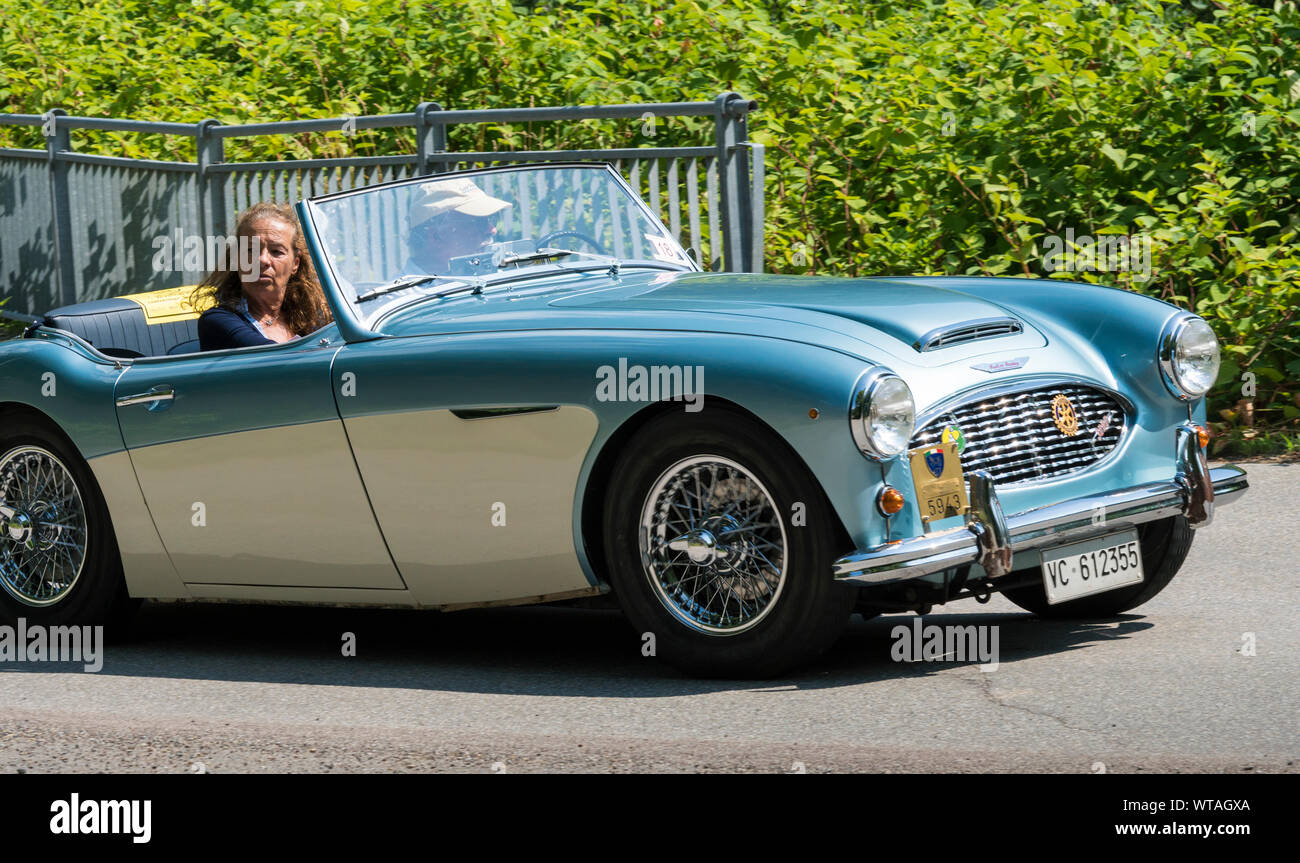 Classic car, a vintage Austin Healey during a meeting for historic cars ...