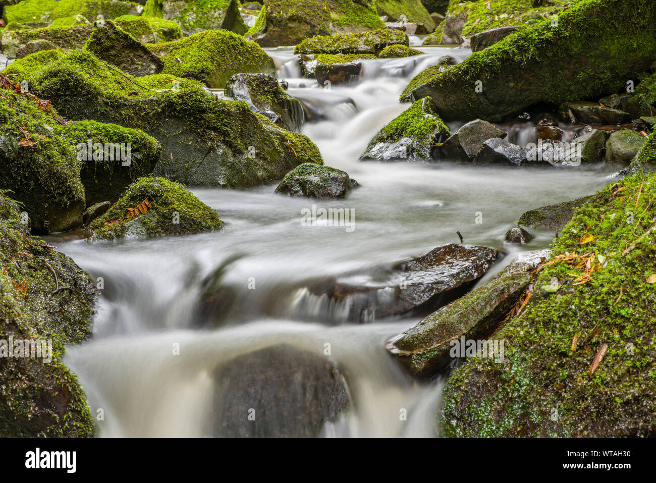 Brazilian countryside hi-res stock photography and images - Alamy