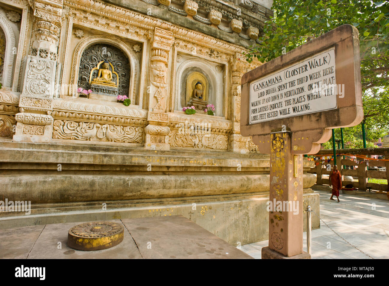Gautama buddha bodhi tree hi-res stock photography and images - Alamy