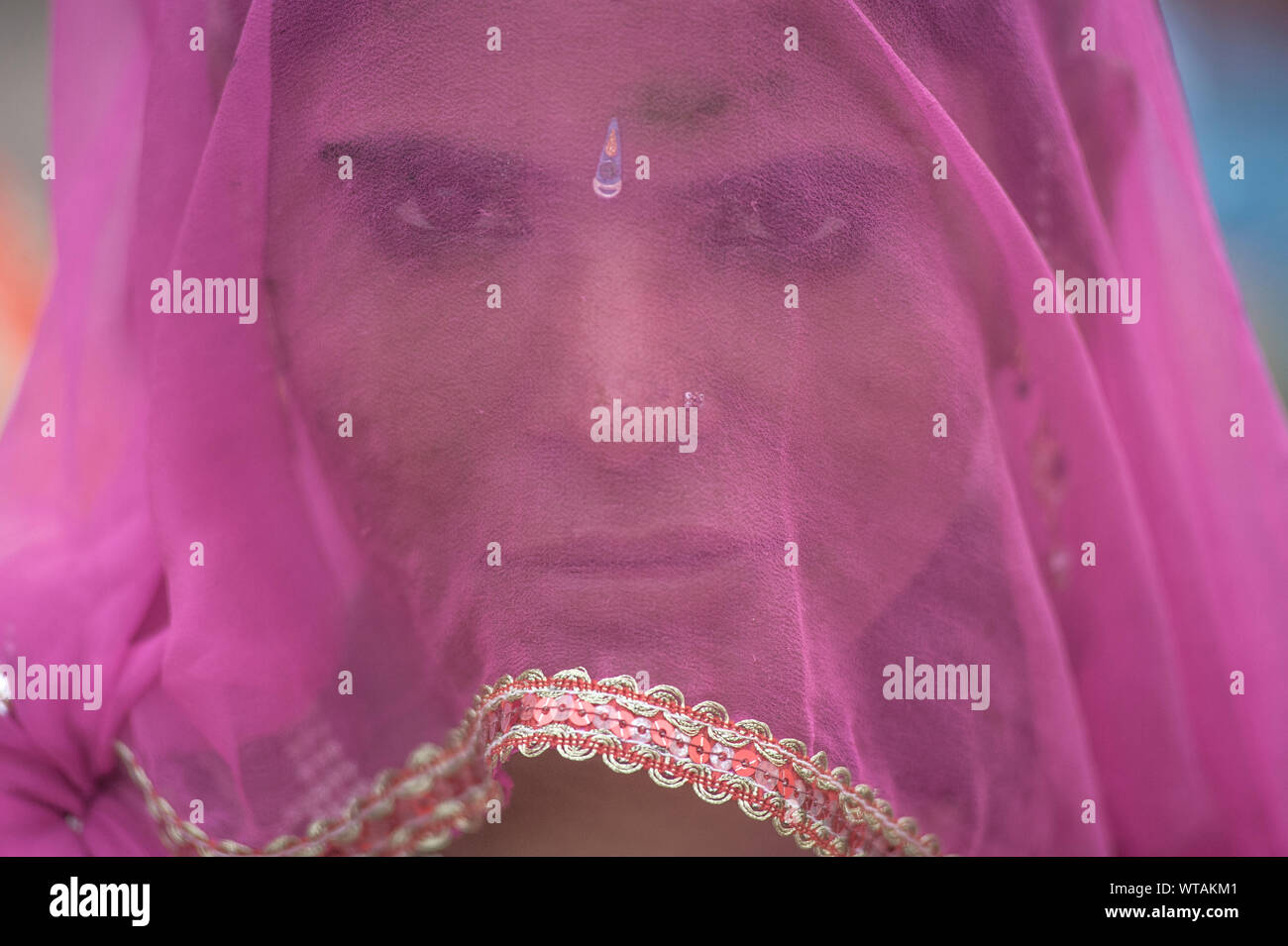 Rajasthani woman covering face with odhni Stock Photo - Alamy