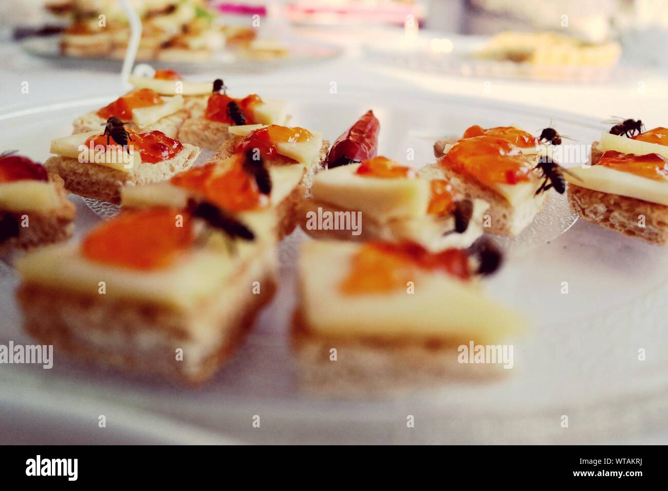 Flies On Food High Resolution Stock Photography and Images - Alamy