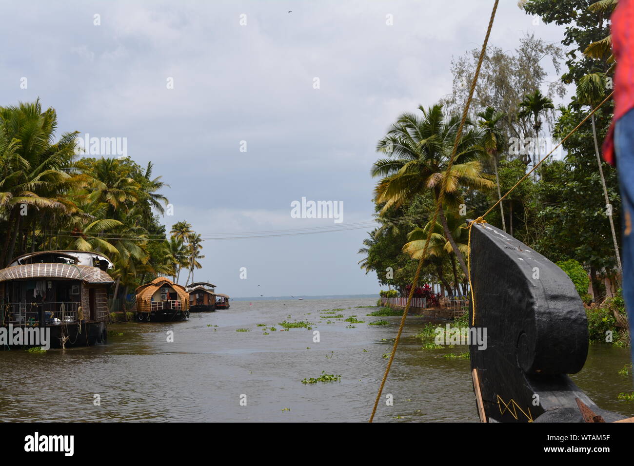 House boat view from Kerala India Stock Photo - Alamy
