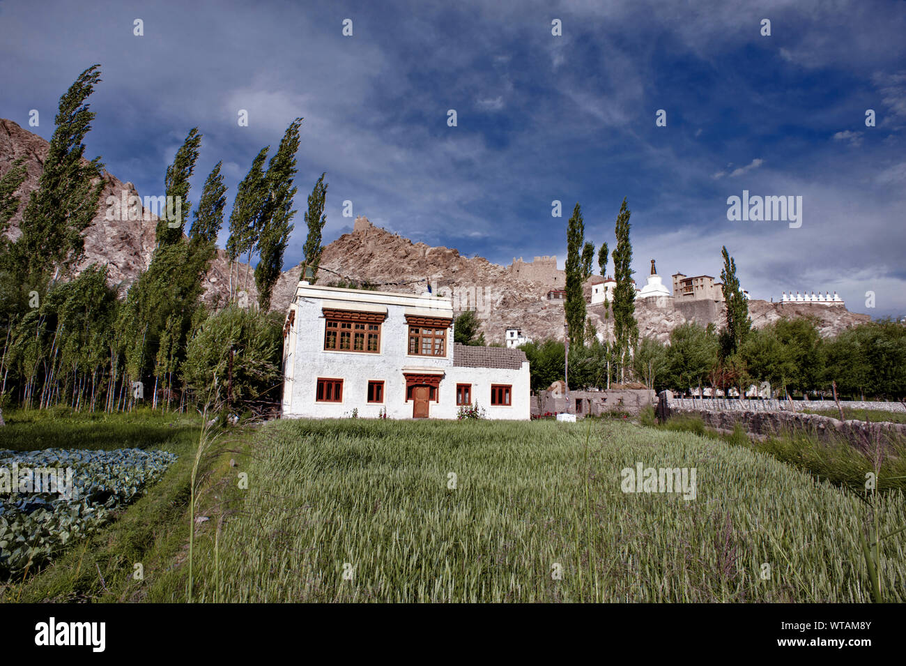 Tibetan house window tibet hi-res stock photography and images - Alamy