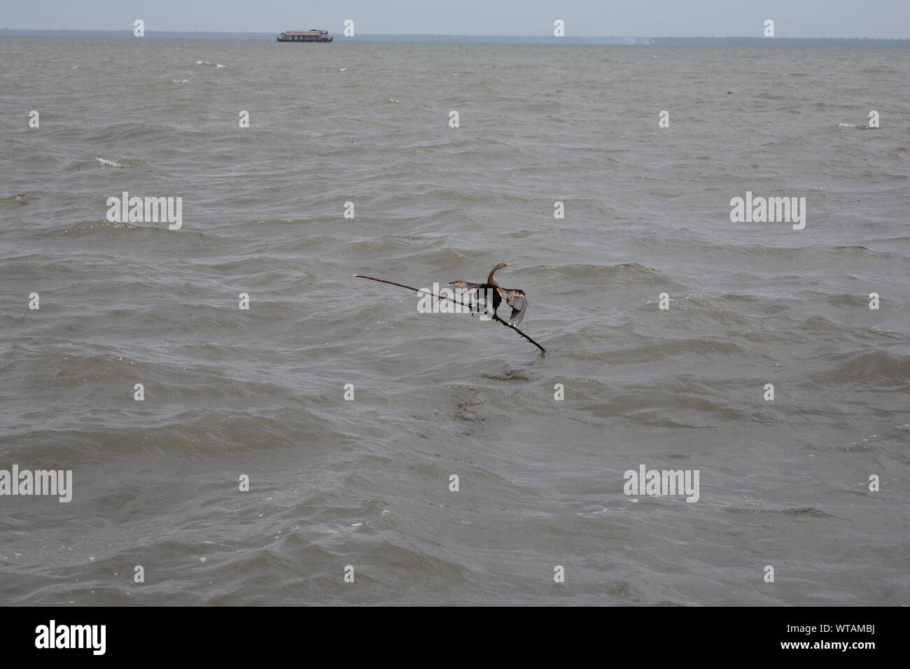 House boat view from Kerala India Stock Photo - Alamy