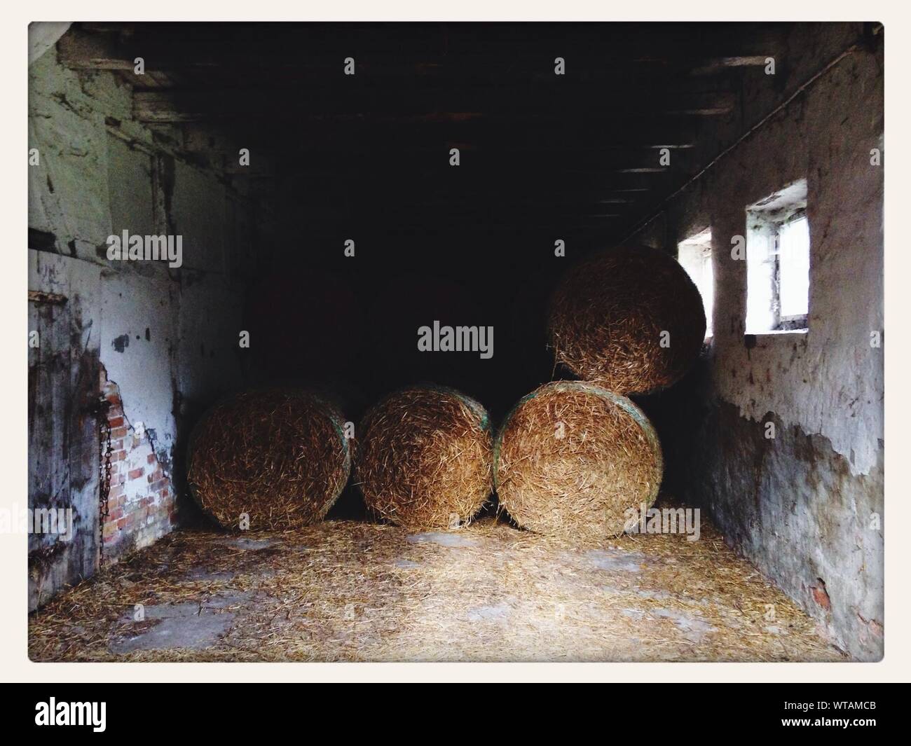 Room for crop hi-res stock photography and images - Alamy