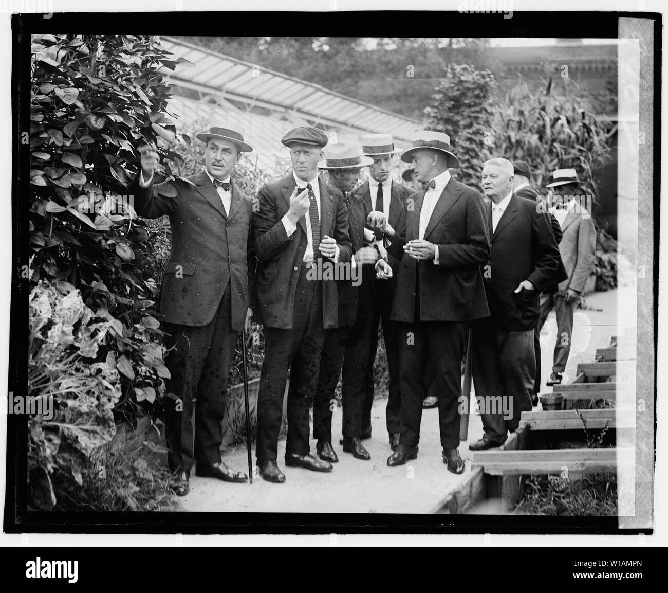 Meredith, Chicago White Sox Stock Photo - Alamy