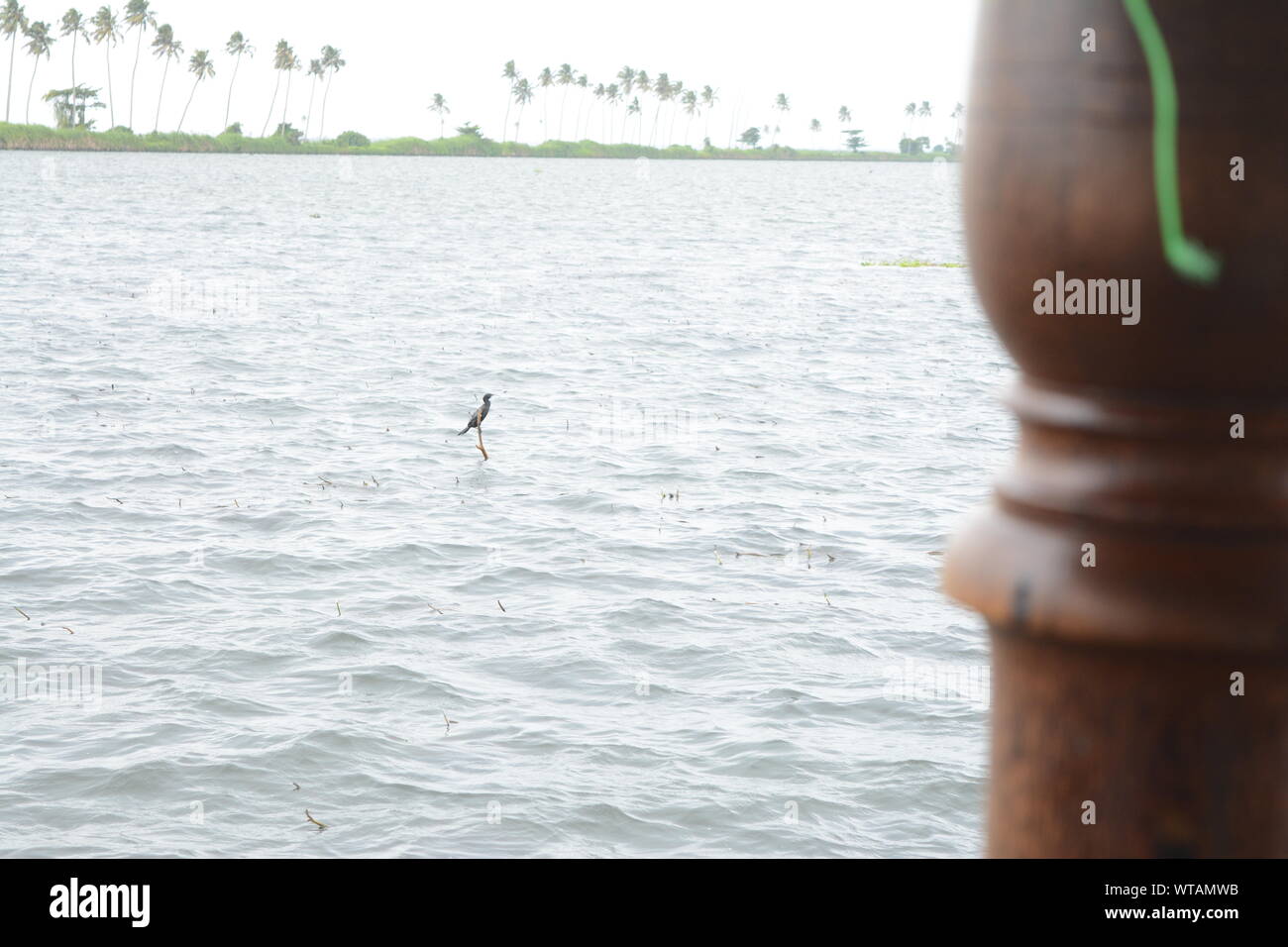 House boat view from Kerala India Stock Photo - Alamy