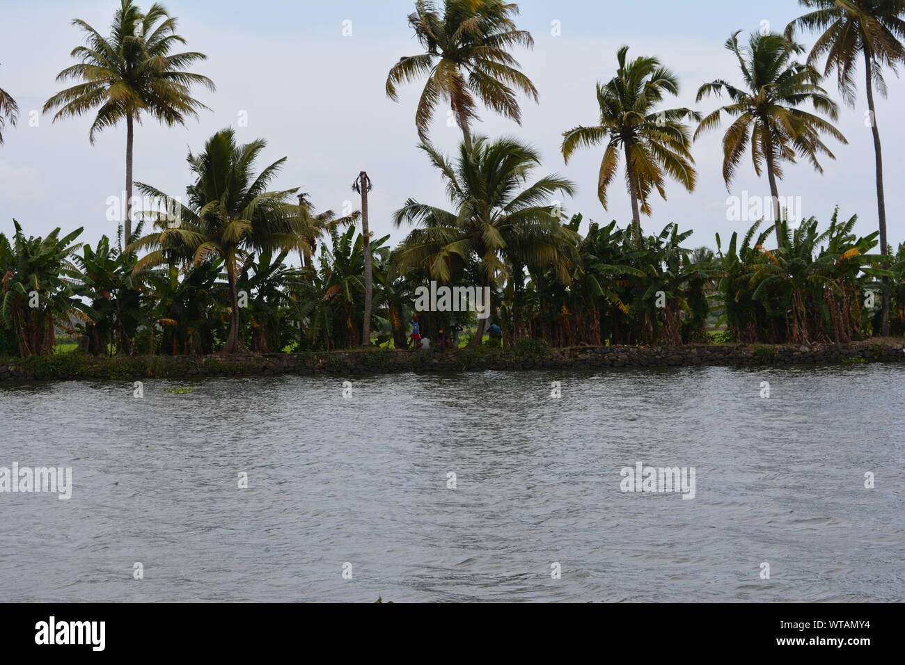 House boat view from Kerala India Stock Photo - Alamy