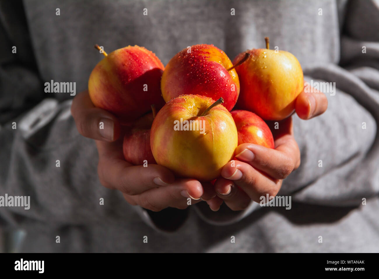 Human hands holding apples hi-res stock photography and images - Alamy