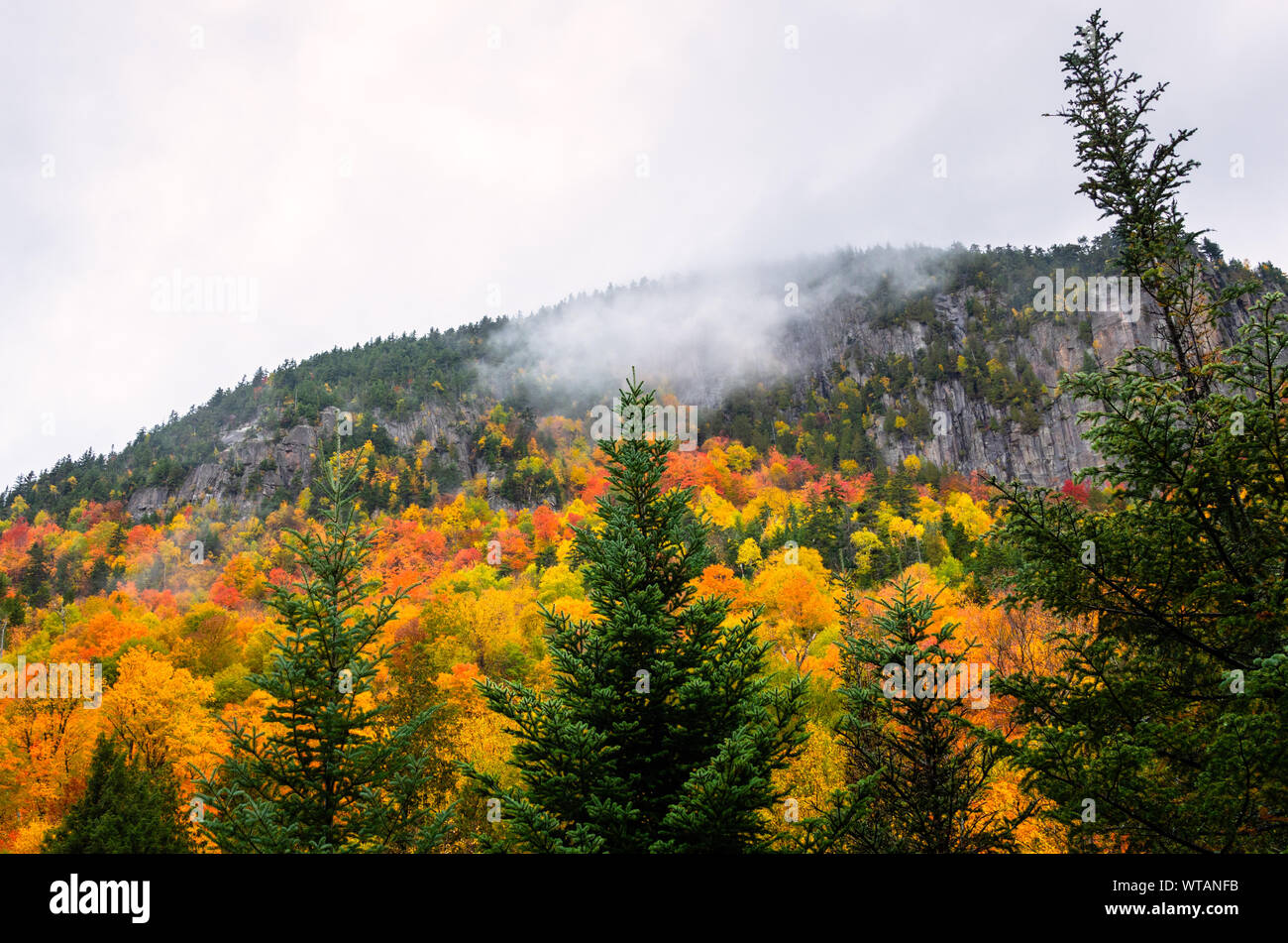View autumn forest on cloudy hi-res stock photography and images - Alamy