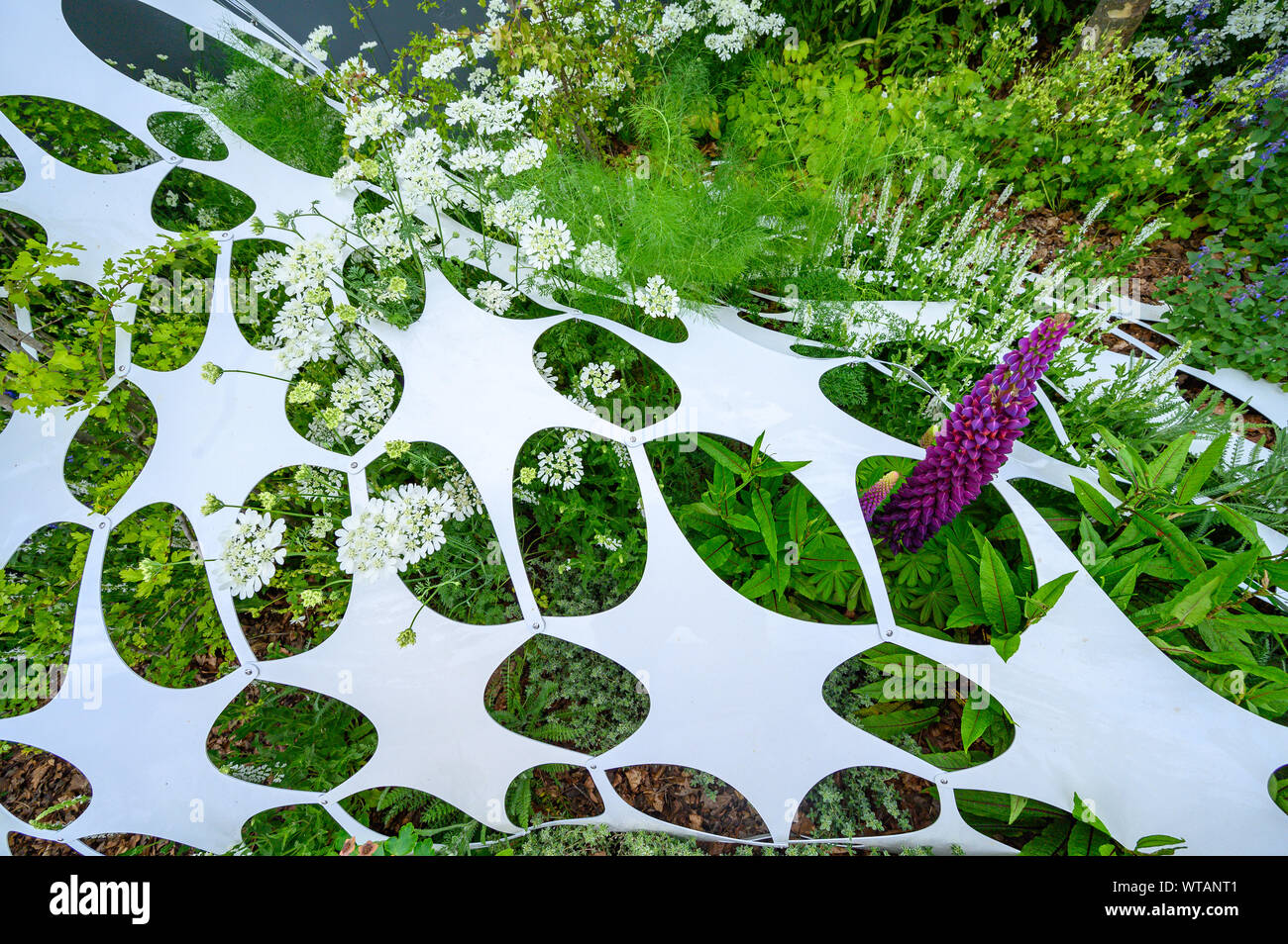 The Manchester Garden by Exterior Architecture Stock Photo - Alamy